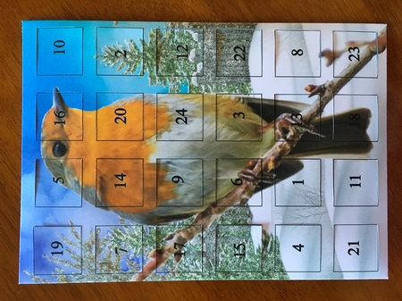 Robin A4 Advent Calendar Minikit - CUP751009_819 | Craftsuprint