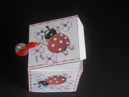 All in One Gift Box - Ladybirds - CUP552389_66 | Craftsuprint