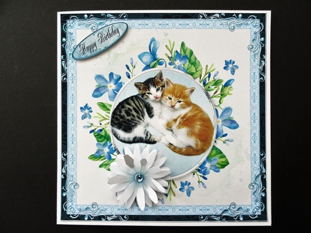 2 Cute Cats Card Front 8 x 8 - Photo by Valerie Spowart