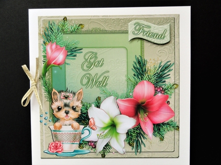 Lovely Yorkie #1 -Get Well - CUP762605_986 | Craftsuprint