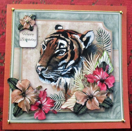 Safari Tiger Mini Kit - CUP1110734_72307 | Craftsuprint