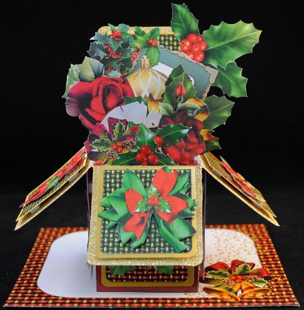 POP UP BOX CARD 3D DECOUPAGE KIT - HOLLY AND ROSES - CUP741289_2049 ...