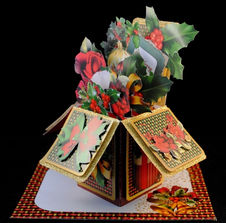 POP UP BOX CARD 3D DECOUPAGE KIT - HOLLY AND ROSES - CUP741289_2049 ...