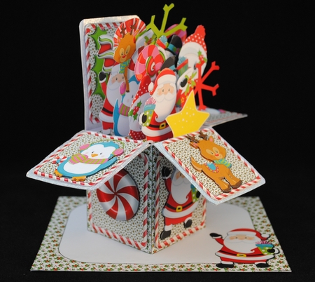 POP UP 3D BOX CARD KIT - CHRISTMAS FUN - CUP749057_2049 | Craftsuprint