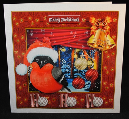 Cute Red Robin Christmas Card Front - Photo by Yvonne Middleton