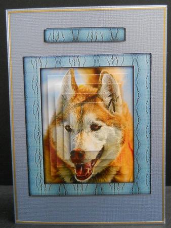 Wild Animal Series - Wolf - Pyramid - Photo by Yvonne Middleton