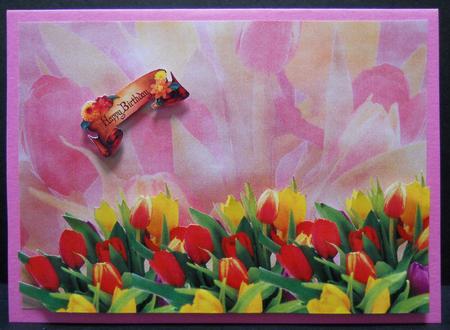 Real Tulip Border Backing Paper - CUP412641_994 | Craftsuprint