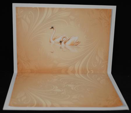 Wedding Swans, Insert - CUP541290_126 | Craftsuprint