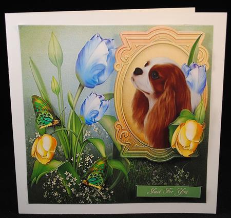 Spring Portrait of a Cavalier King Dog - CUP610591_1865 | Craftsuprint
