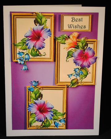 Purple Hibiscus Frame Trio - CUP616626_1763 | Craftsuprint