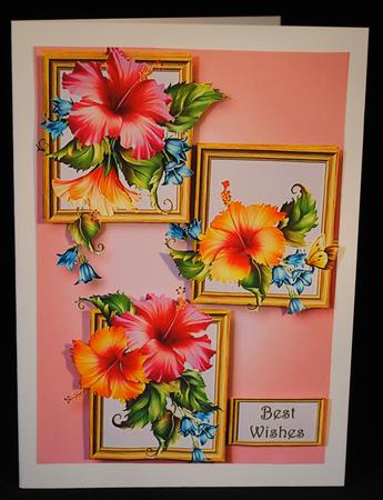 Pink & Peach Hibiscus Frame Trio - CUP616624_1763 | Craftsuprint