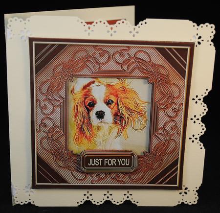 Springer Spaniel Puppy in a Copper Frame 5in x 5in Decoupage ...