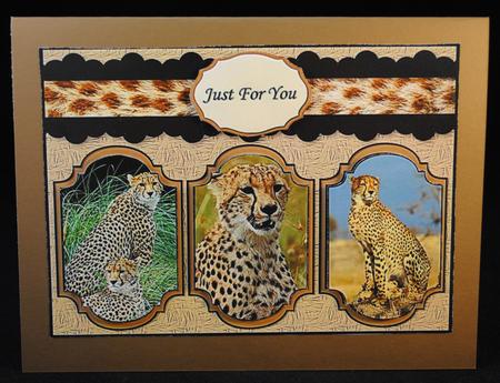 Cheetah Card - CUP680188_466 | Craftsuprint