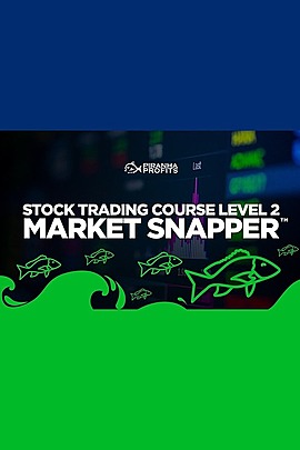 Stock Trading Course Level 2: Market Snapper™ - Online Course