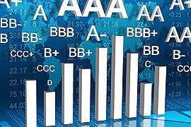 Ratings Agency - Entity Type