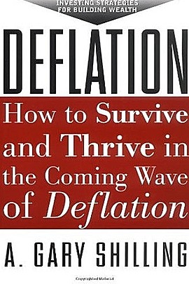 Deflation: Strategies for Building Wealth in the Coming Wave of ...