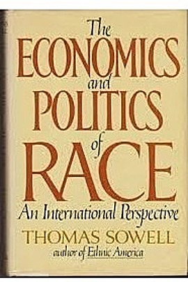 The Economics and Politics of Race: An International Perspective - Book