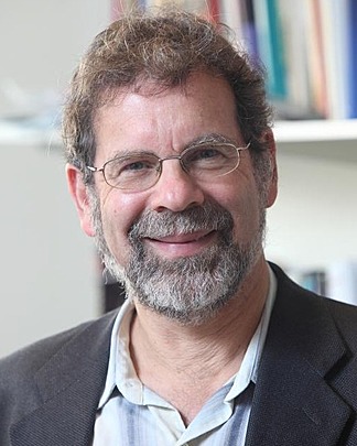 Daniel Miller - Professor @ University College London