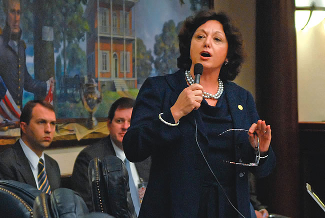 Florida's Legislative Preview | 2013 Politics - Florida Trend