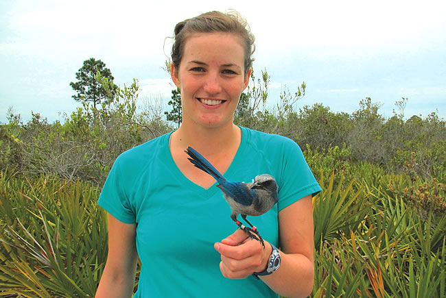 One for the Birds | Research Florida - Florida Trend