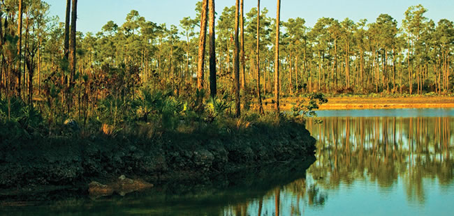 Environment - Balance land acquisition and preservation | Bright Ideas ...