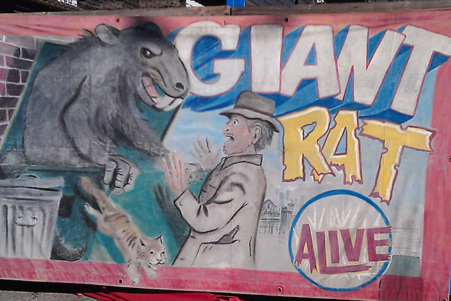 A day at the Florida State Fair (in photos) - Florida Trend