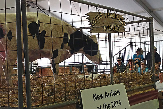 A day at the Florida State Fair (in photos) - Florida Trend