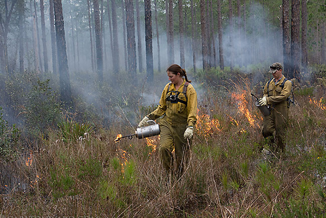 Week 1: Through the Green Swamp | Florida Wildlife Corridor Expedition ...