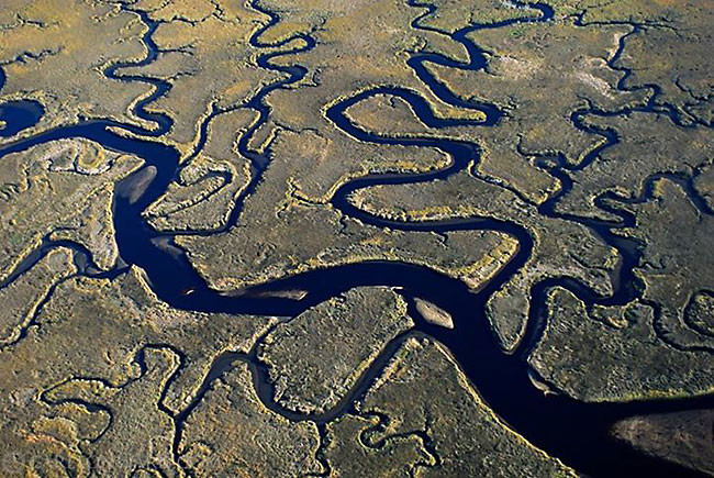 Week 3: Traversing Florida's Nature Coast | Florida Wildlife Corridor ...