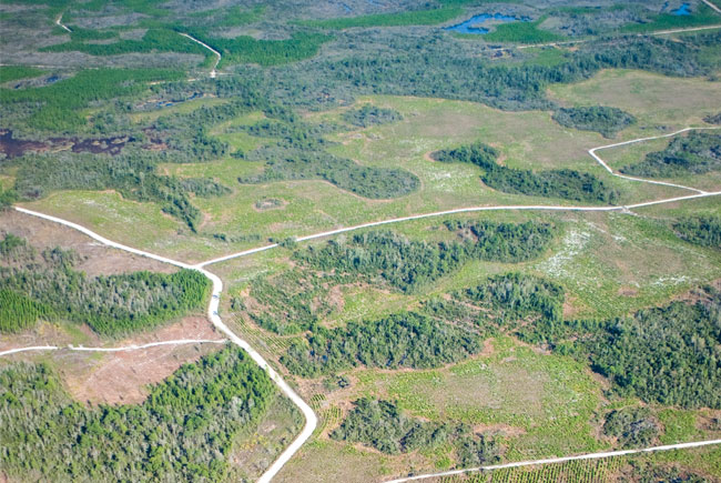 Farewell to Florida's ‘Development of Regional Impact' (DRI) Law ...