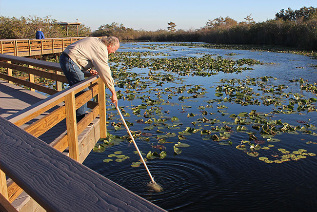 Wednesday's Daily Pulse - Florida Trend