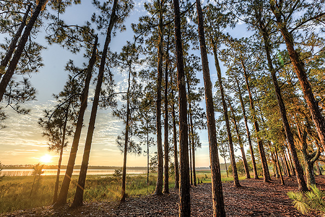 Rural Florida's players and their projects | Rural Florida Feature ...