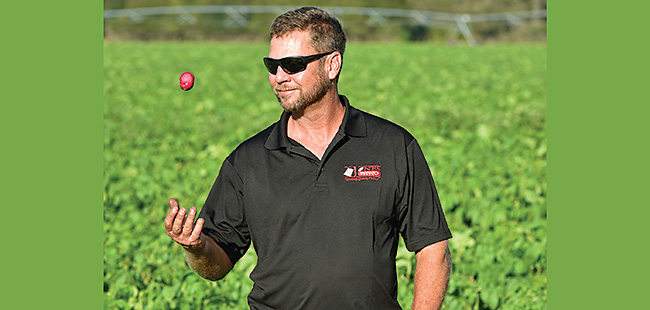 Fried potatoes: Chipping away at potato farmer's future | Southwest ...