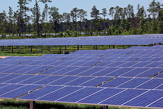 Sunspot: Several projects are making northeast Florida a solar leader ...