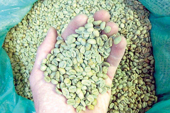 Higher grounds: A look at the coffee revolution in Florida | Dining ...