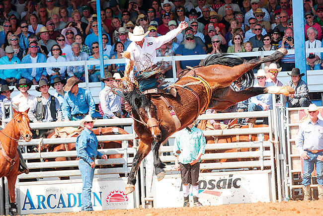 Southwest Florida: Snapshot of the region's economic strengths and ...