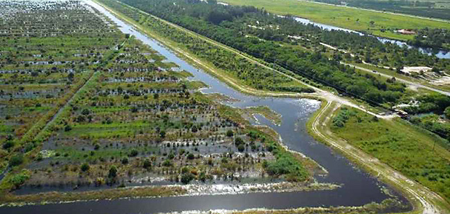 Water Farms Helping South Florida Go With the Flow | Growing Produce ...