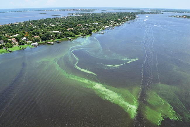 Florida's septic tanks and pollution - Florida Trend | Feature