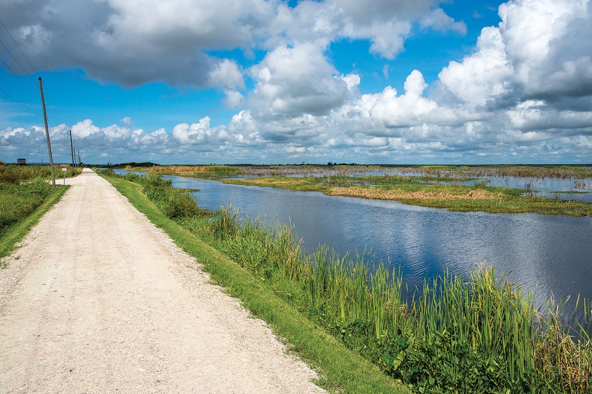 Florida parks have found a new appreciation during the pandemic ...