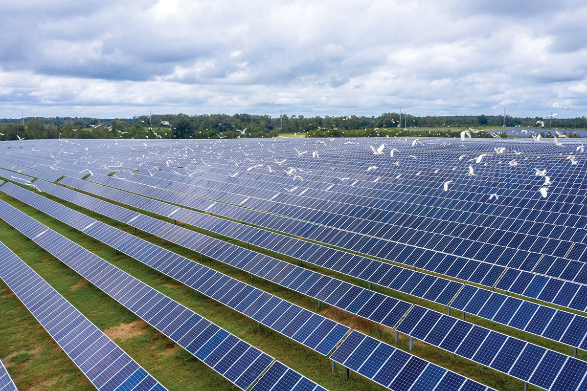 FP&L expands its solar footprint in NW Florida | Economic Backbone ...