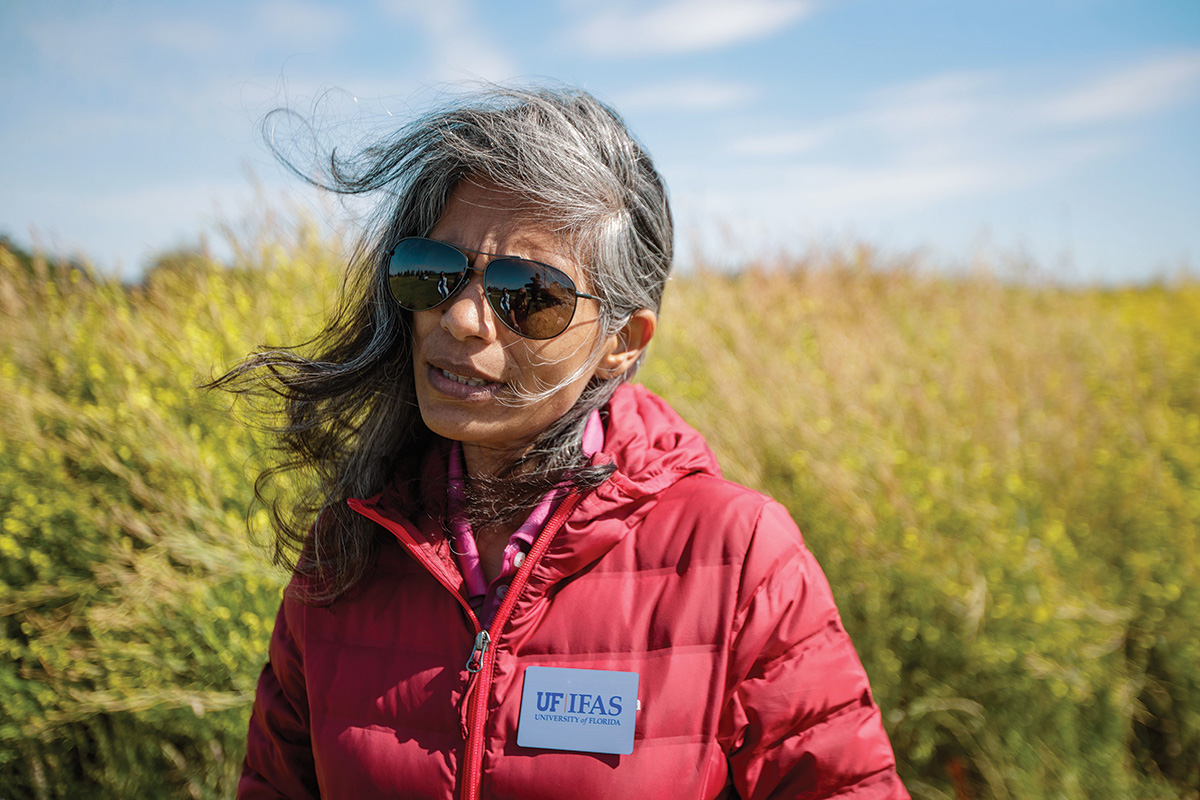 UF project focuses on converting oilseed to jet fuel - Florida Trend