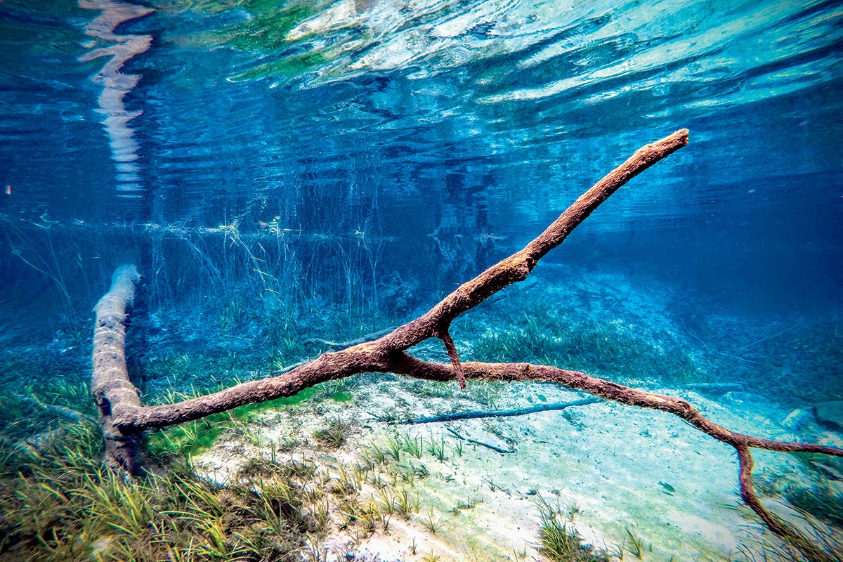 Water Wise - Florida Trend | Feature