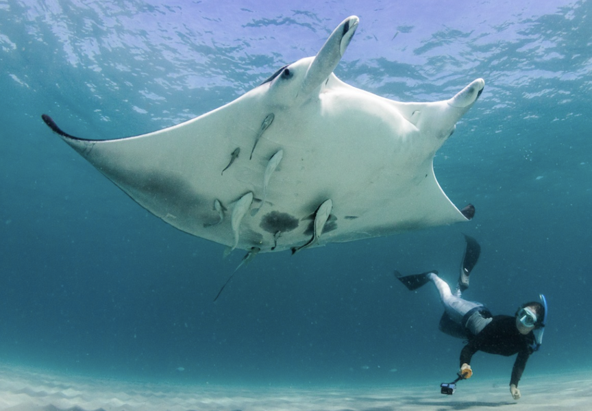 Tuesday's Afternoon Update - Florida Trend