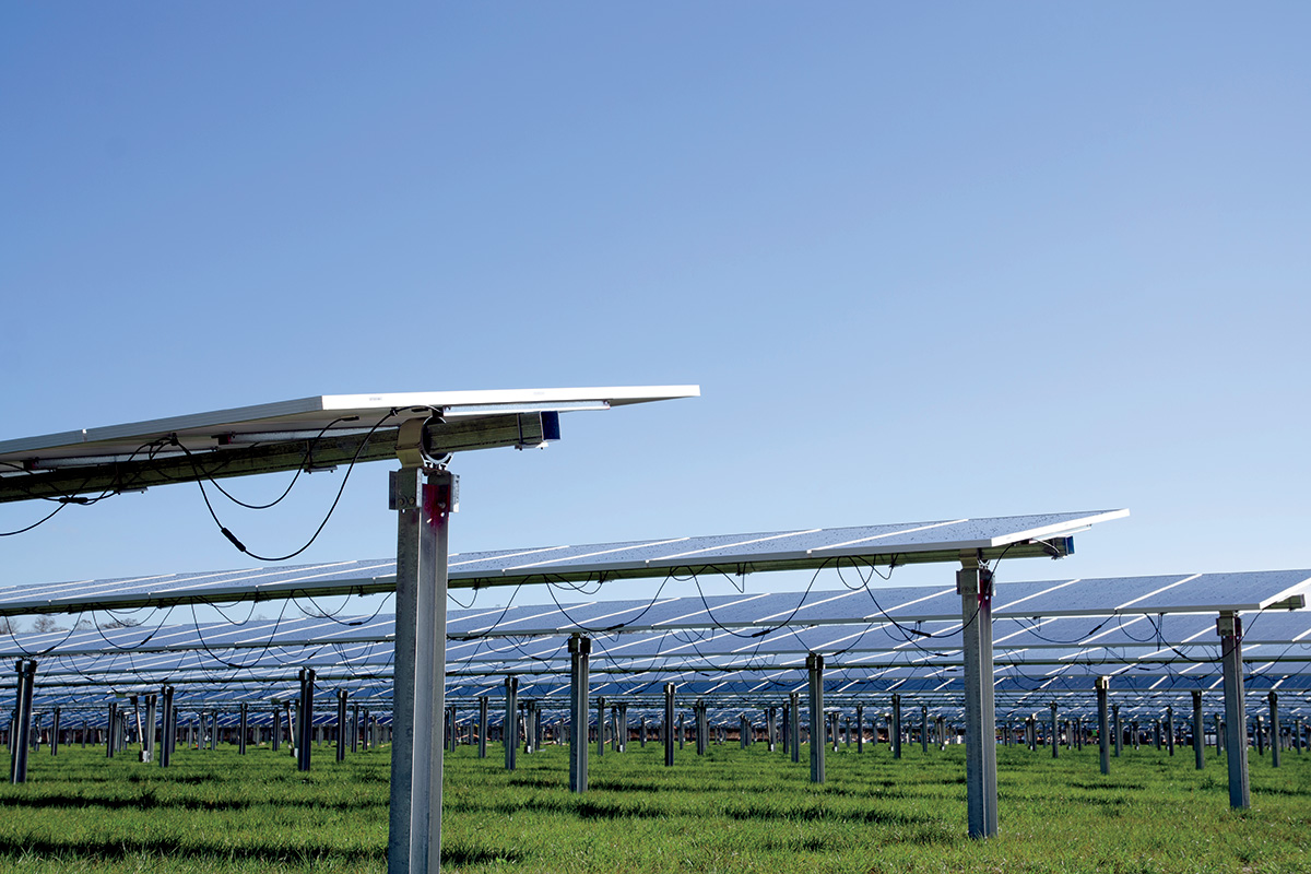 Solar Surge - Florida Trend | Feature