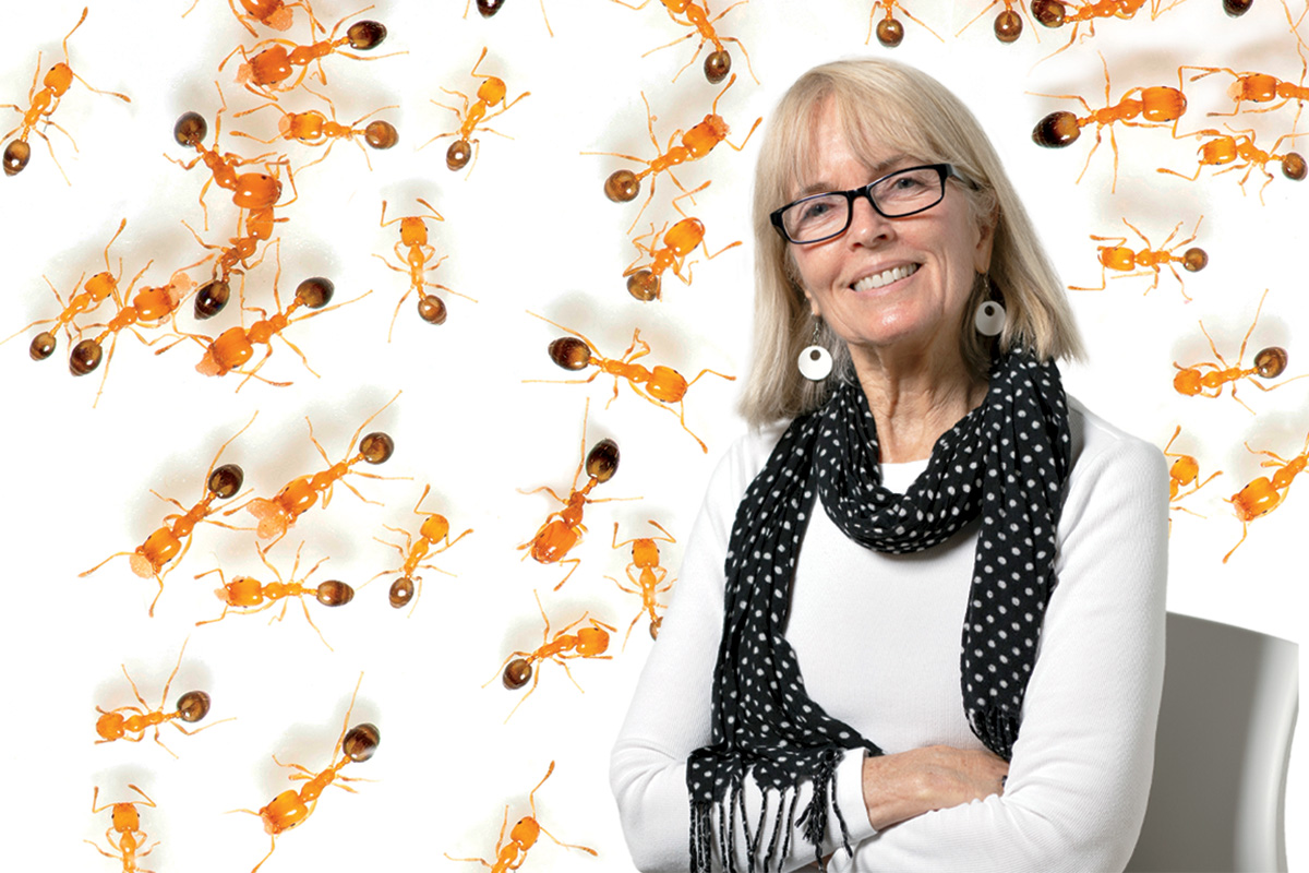 Florida Icon: Deby Cassill - Florida Trend