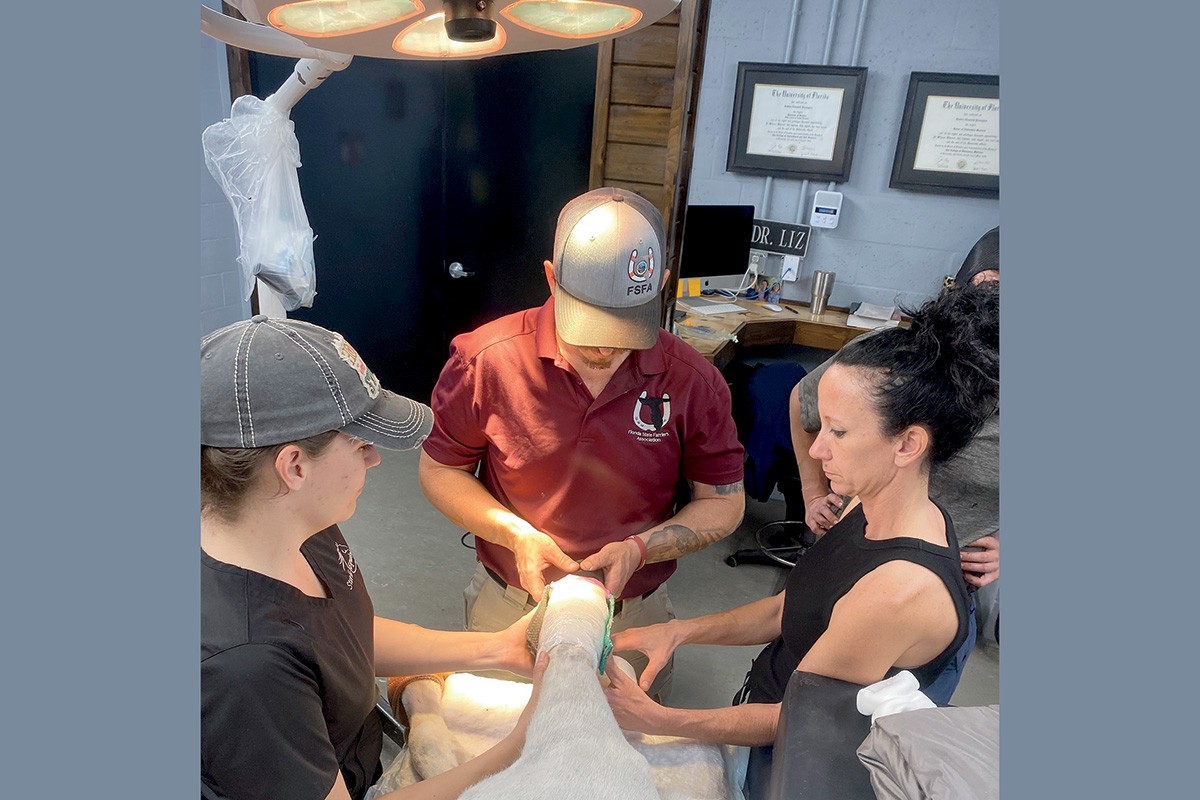 Steeled for Worse - Florida Trend | Feature