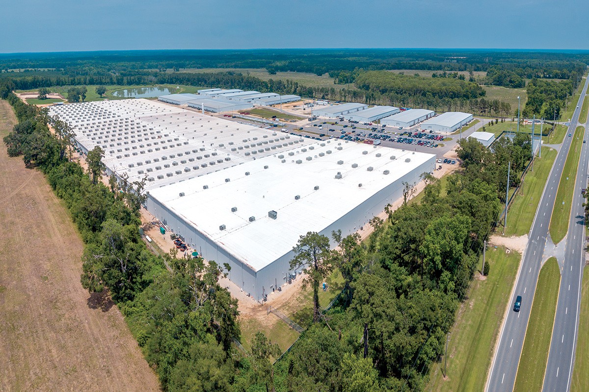 Big Weed - Florida Trend | Feature