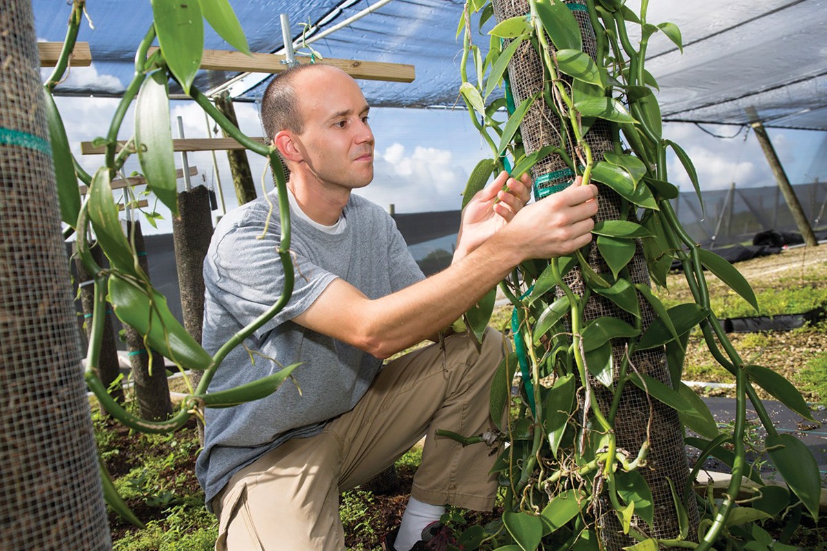 Magic Beans - Florida Trend | Feature
