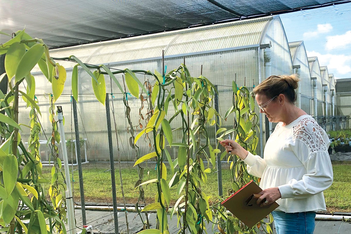 Magic Beans - Florida Trend | Feature