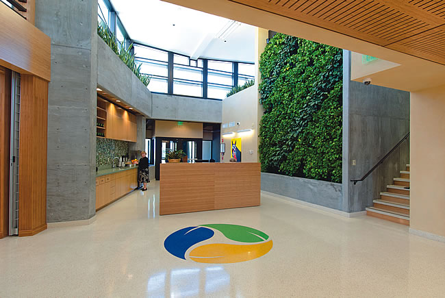 Seeing Green - Thriving New Bank | Central Florida - Florida Trend